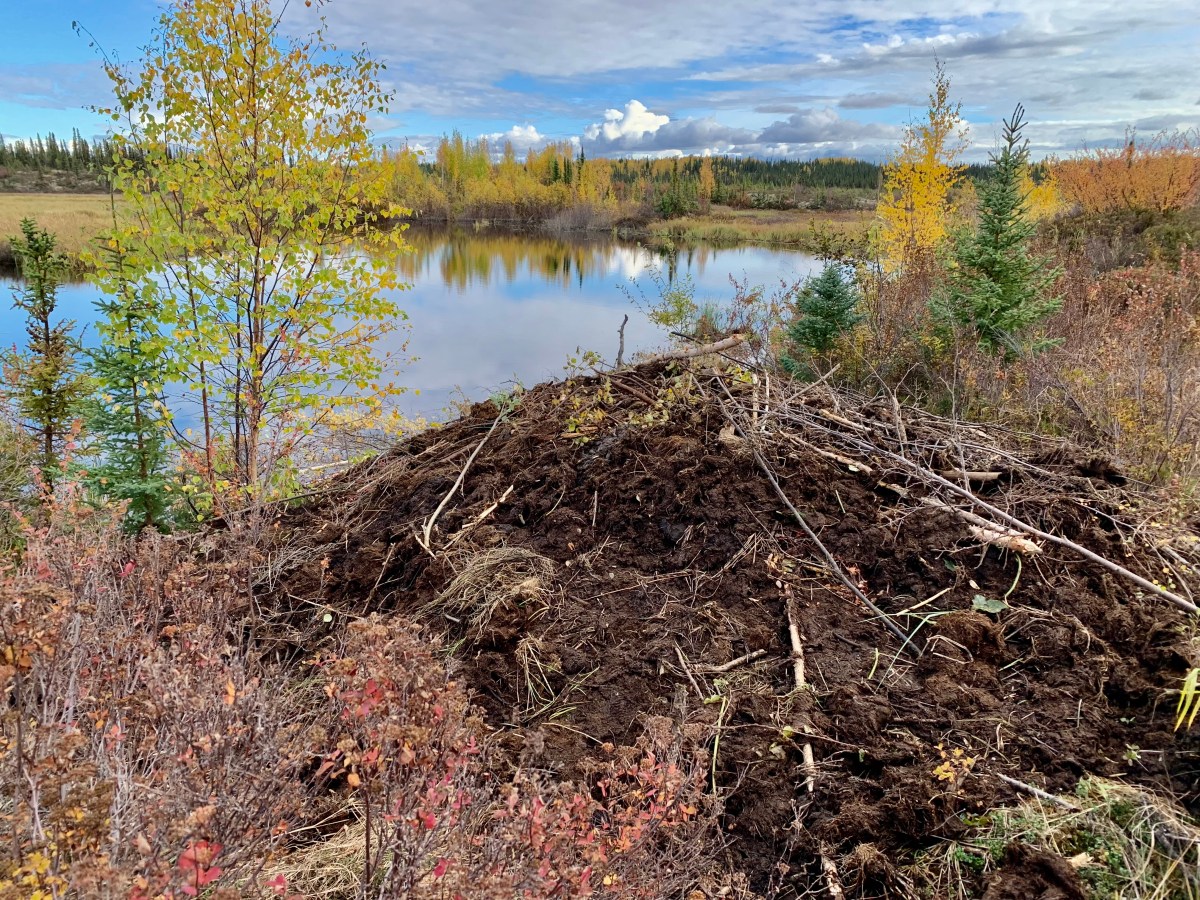 Mushing Dogs, Tundra Trampolines, Muck Boots, and the “Slums” of ...